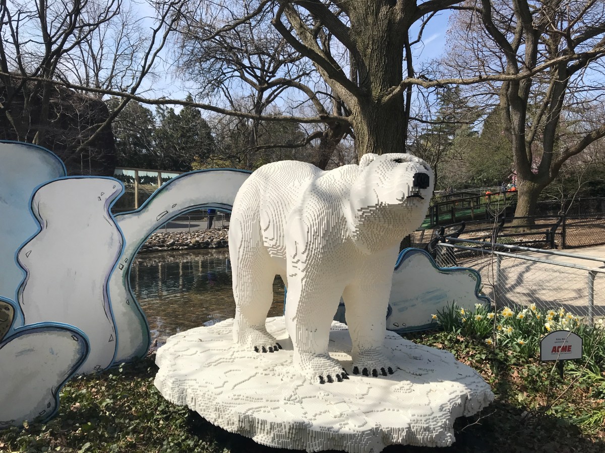 New to the Zoo: Food, LEGOS, and the Return of the Zoo Key ...