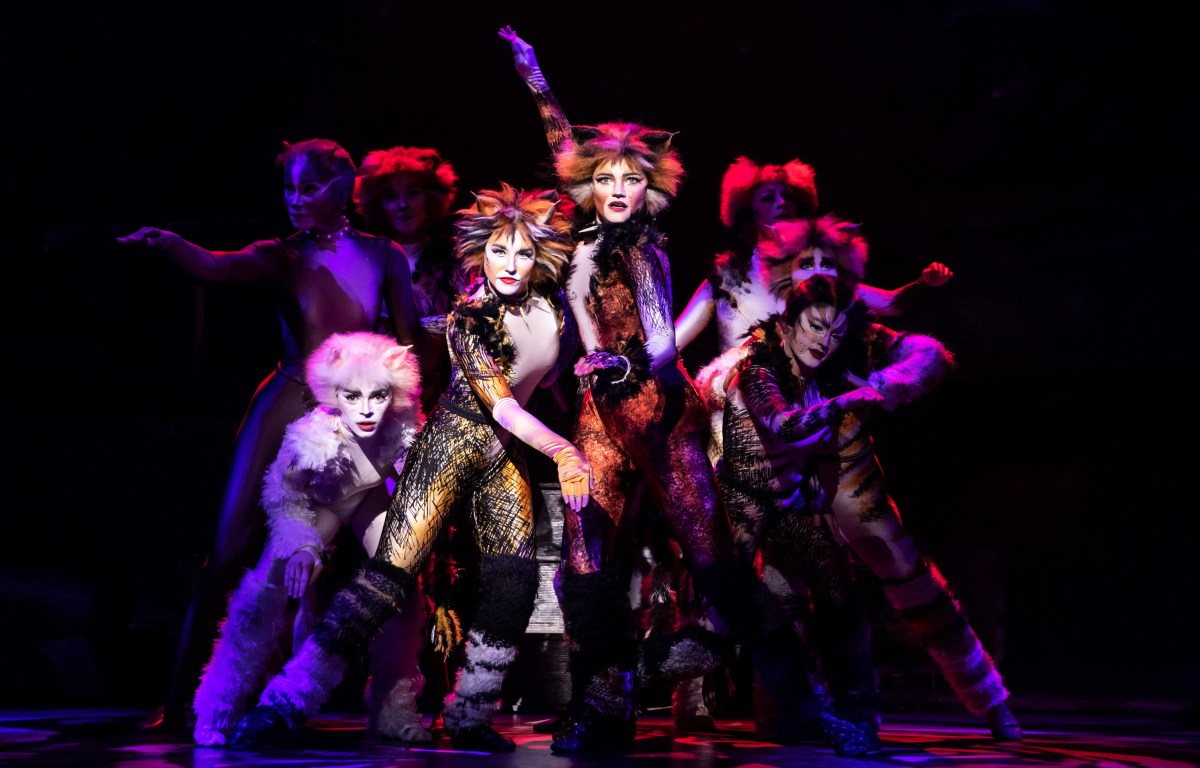 CATS cast member, Caitlin Bond, talks about the show’s return to ...