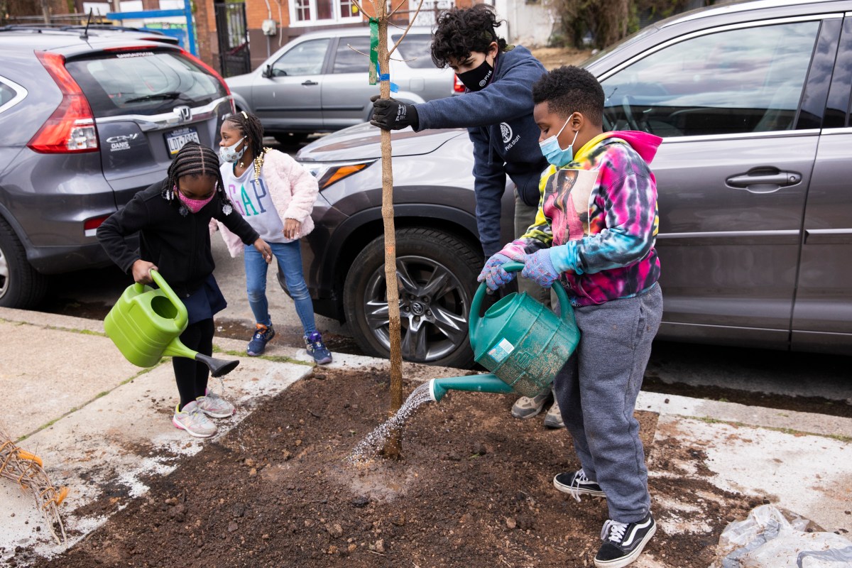 Pennsylvania Horticultural Society to Host Volunteer Tree Planting ...