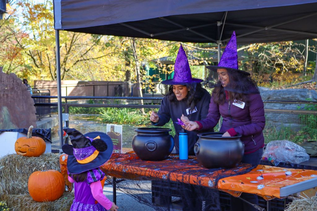 Boo at the Zoo Halloween Extravaganza Takes Over Philadelphia Zoo for ...